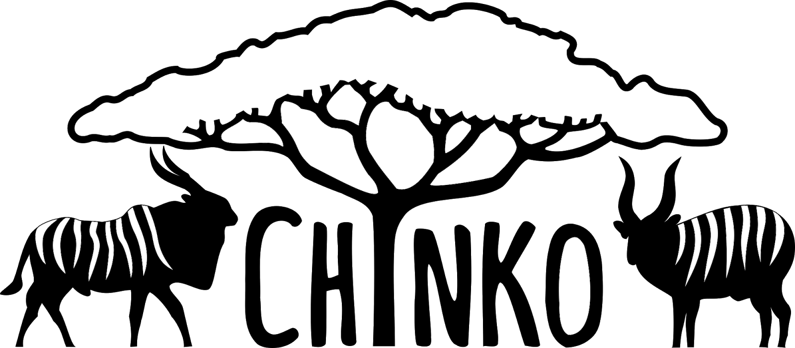 Focus : Le « Chinko project » et Thierry Aebischer en RCA – Actualités ...